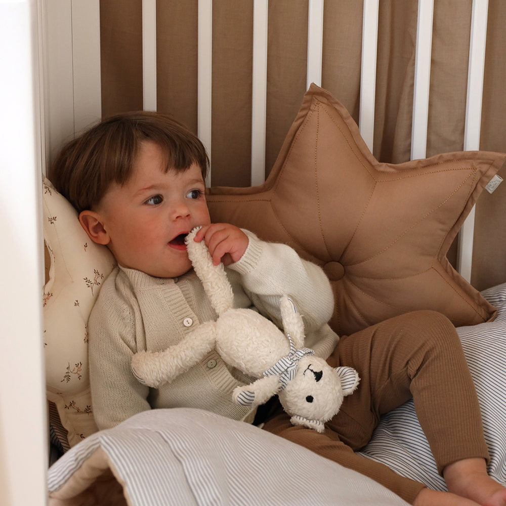 Teddy Bear - OCS Off White